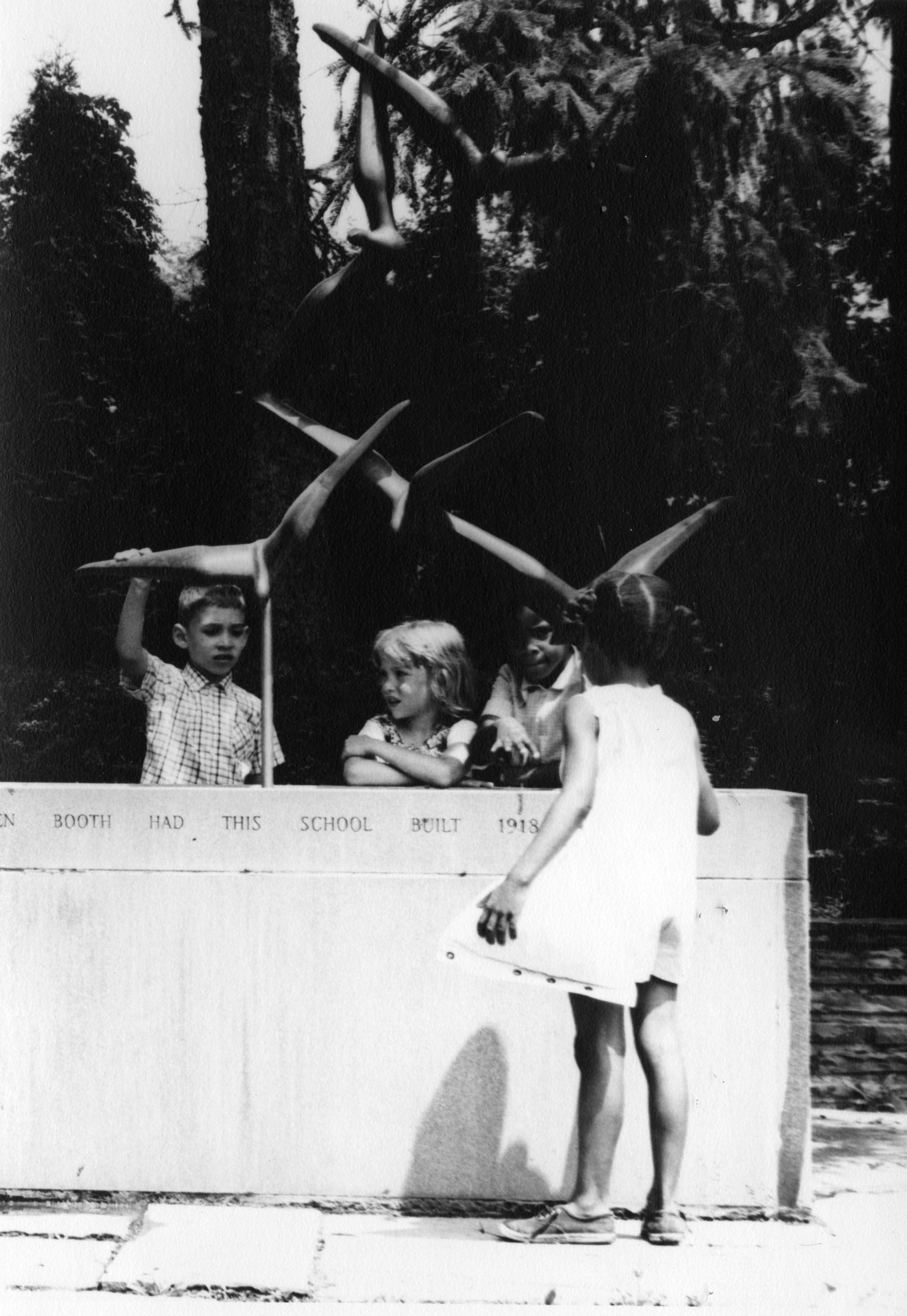 A Summer Education at Brookside | Cranbrook Kitchen Sink